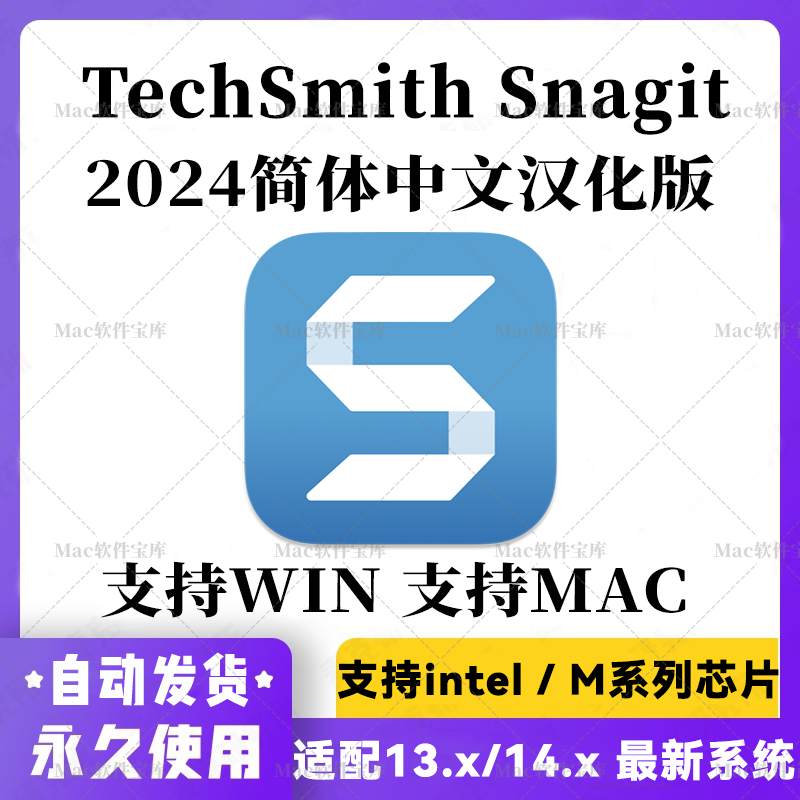 TechSmith Snagit 2024 电脑截图标注屏幕录像工具中文版Win+Mac-Taobao