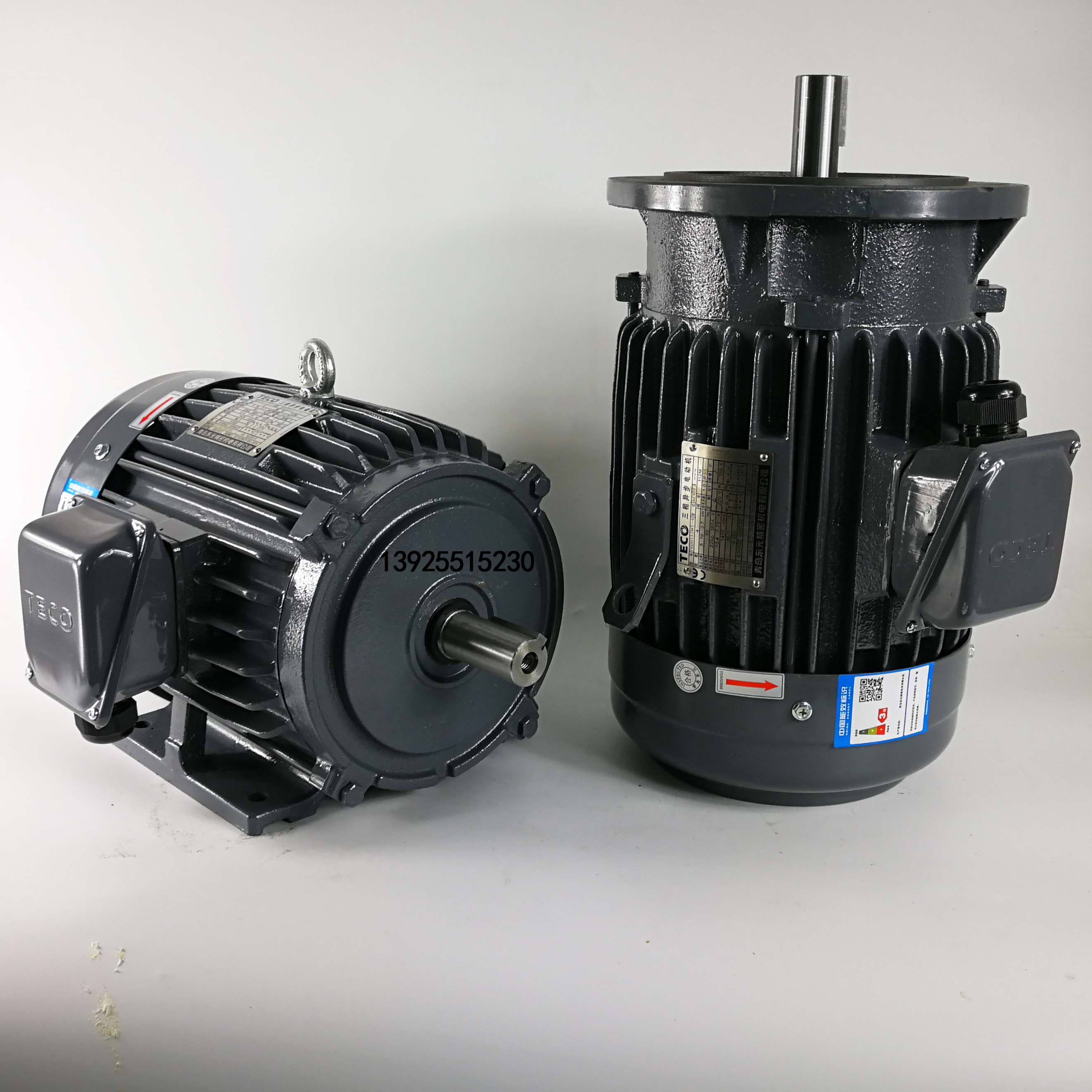 TECO Dongyuan Motor 2 2KW 3 7KW 5 5KW 7 5KW Horizontal AEEF TEGH Brake ...