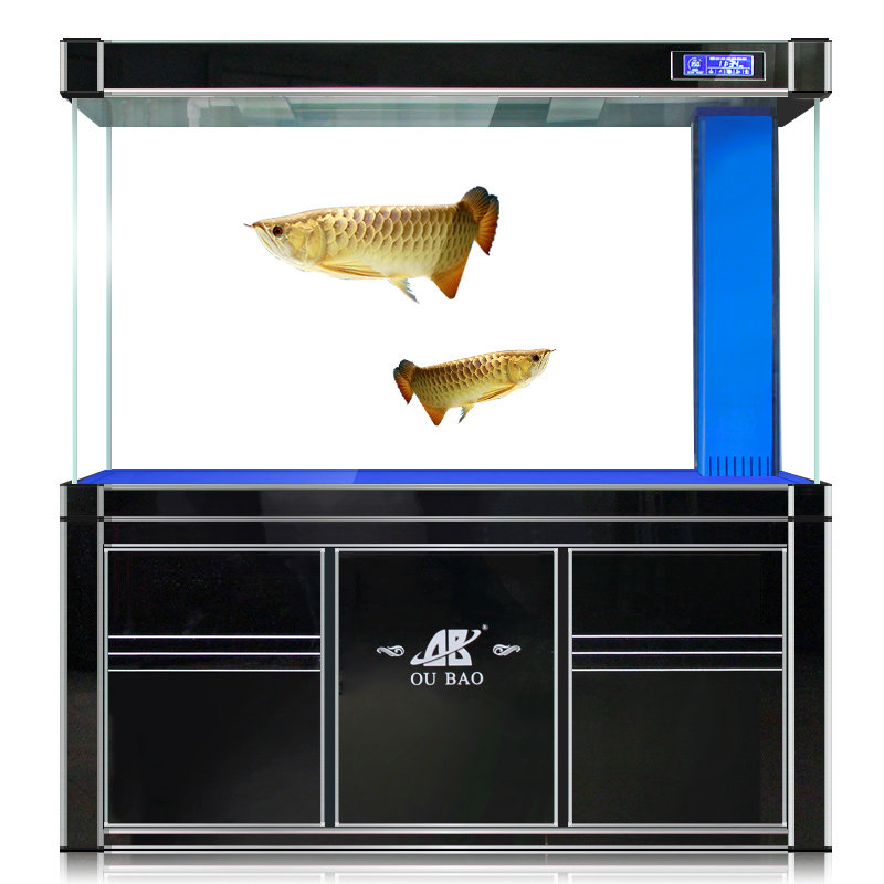 [USD 1174.29] Opel ultra-white glass dragonfish tank aquarium large and ...
