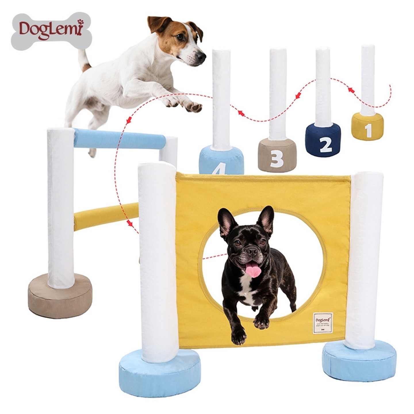 A new tool for pet training 💪 - dog multifunctional combination trainer 🏠