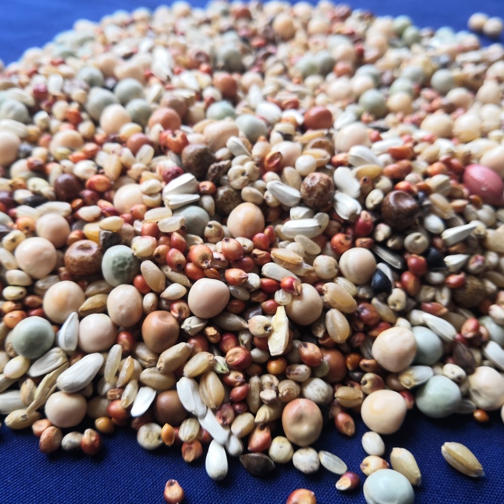 [USD 9.23] Pigeon Feed No Corn Pigeon Food Letter Pigeon Race Pigeon ...