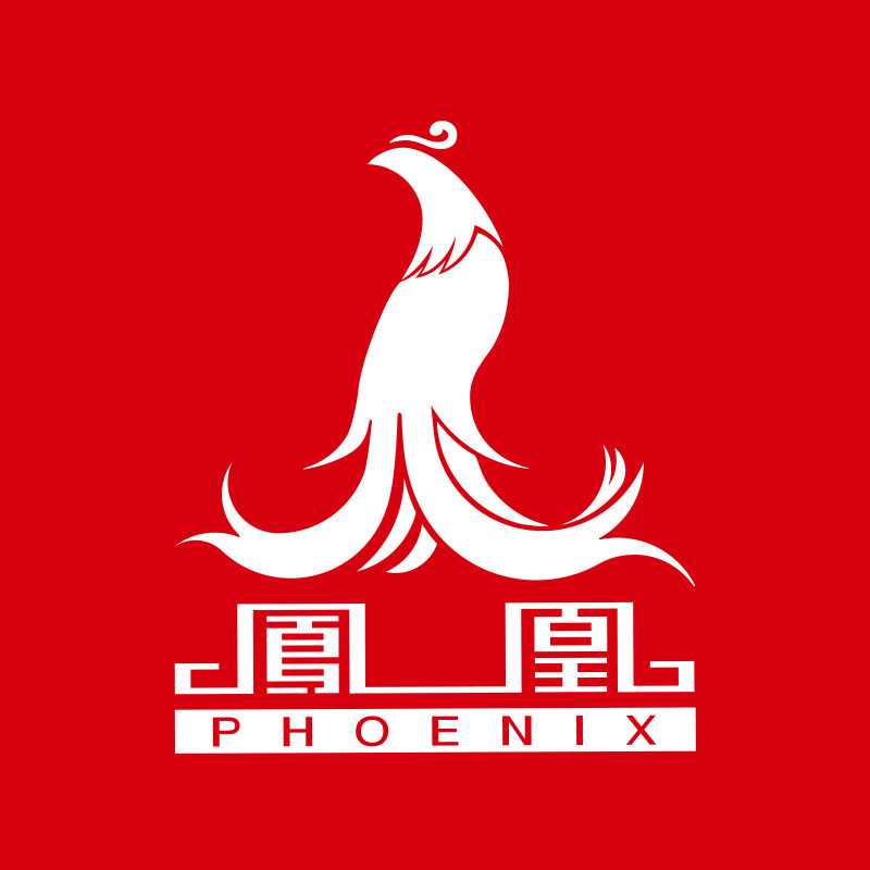 上海凤凰自行车正品壹号店