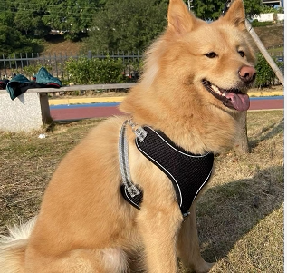 宠爱Pet宠物生活馆