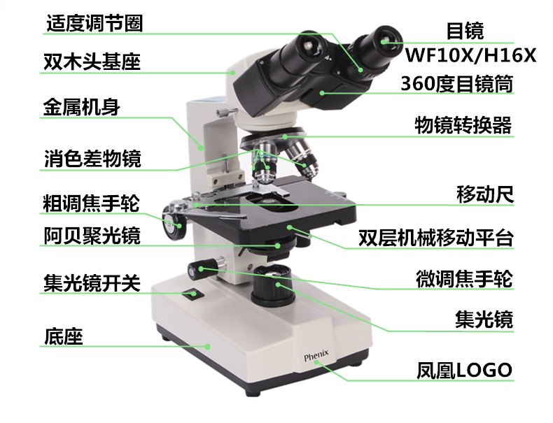光学显微镜内质网,普通光学显微镜(第9页)_大山谷图库