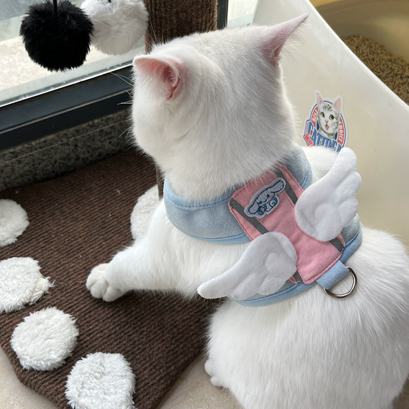 Cat leash, good-looking cat chain, special cat leash for young cats to ...