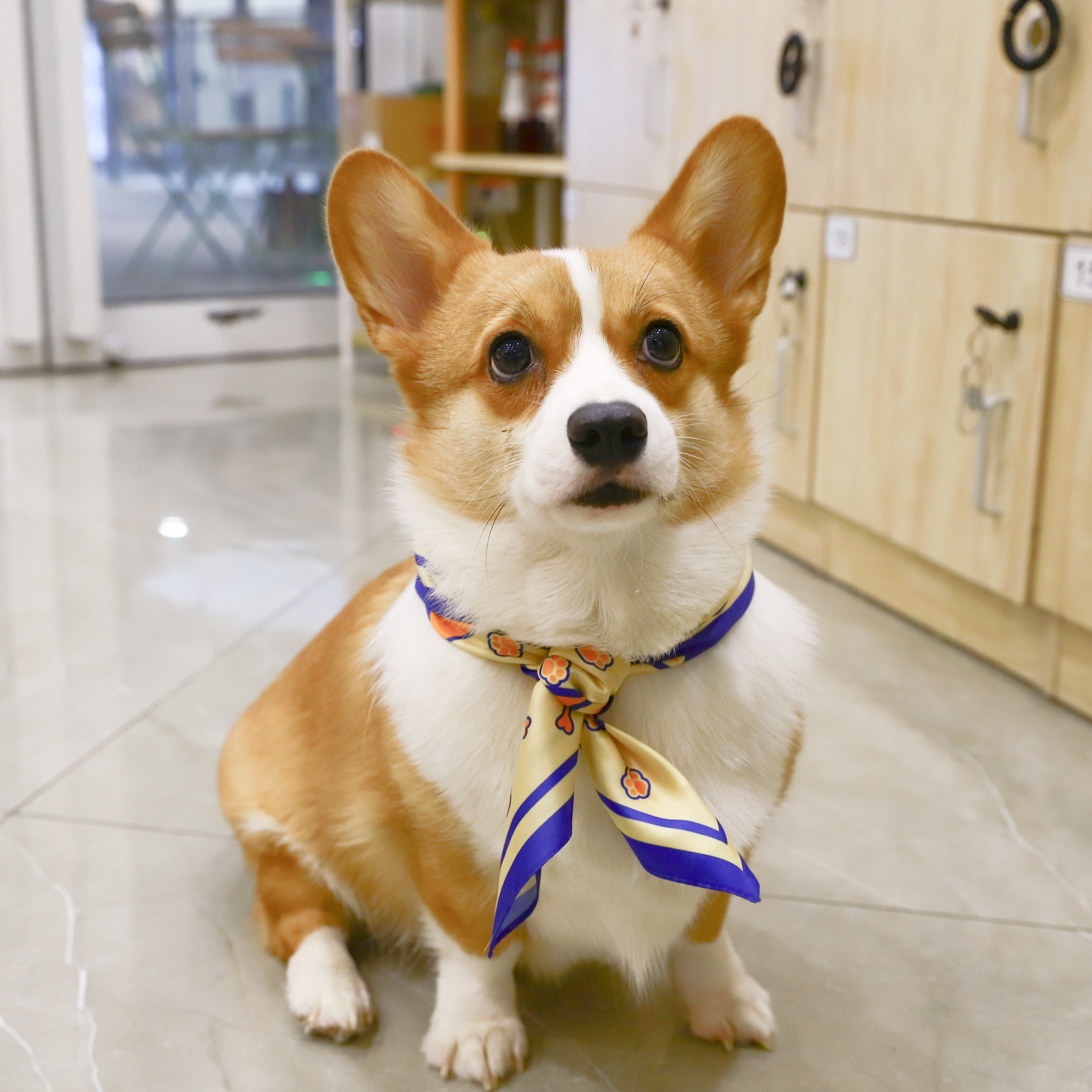 富士一次成像Wide配件礼盒｜爱TA宠TA，用仪式感记录生活每一刻-快显胶片-淘宝好物网