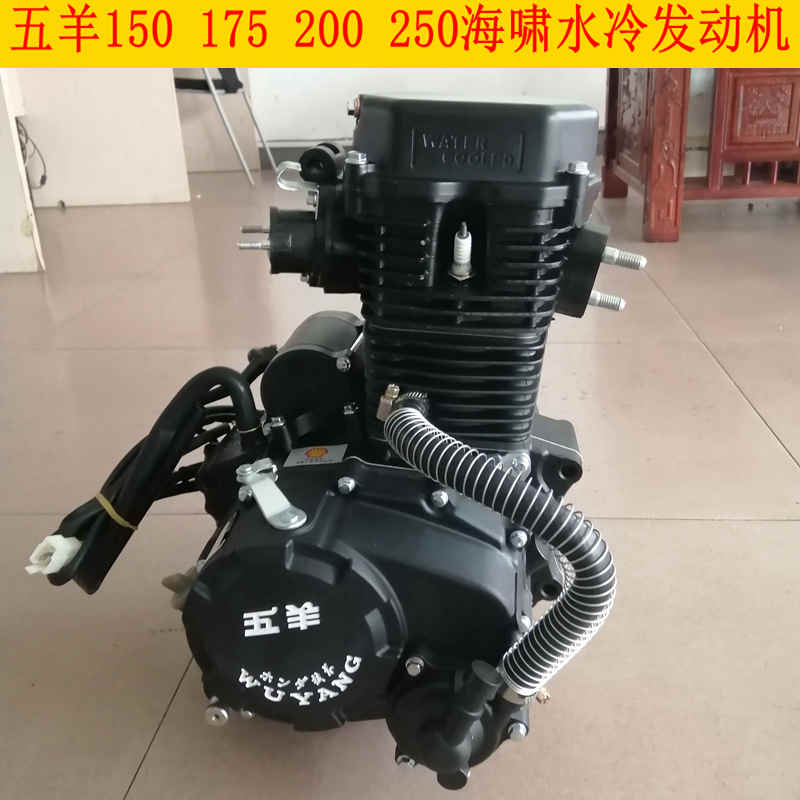 Wuyang 150 175 200 250cc tsunami water-cooled engine three-wheel motorcycle engine assembly