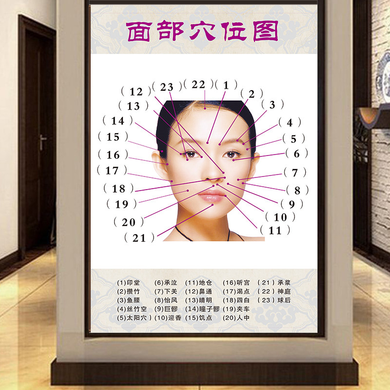 [USD 8.26] Picture of the beauty wall chart of the face of the ...