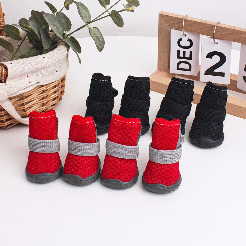 A must-have for pets in summer! 🐾 Teddy bear & bichon frize sandals: no ...