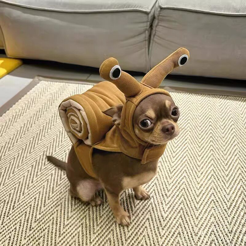 The cutest cross-dressing trend of 2025! poldo ben's snail costume for ...