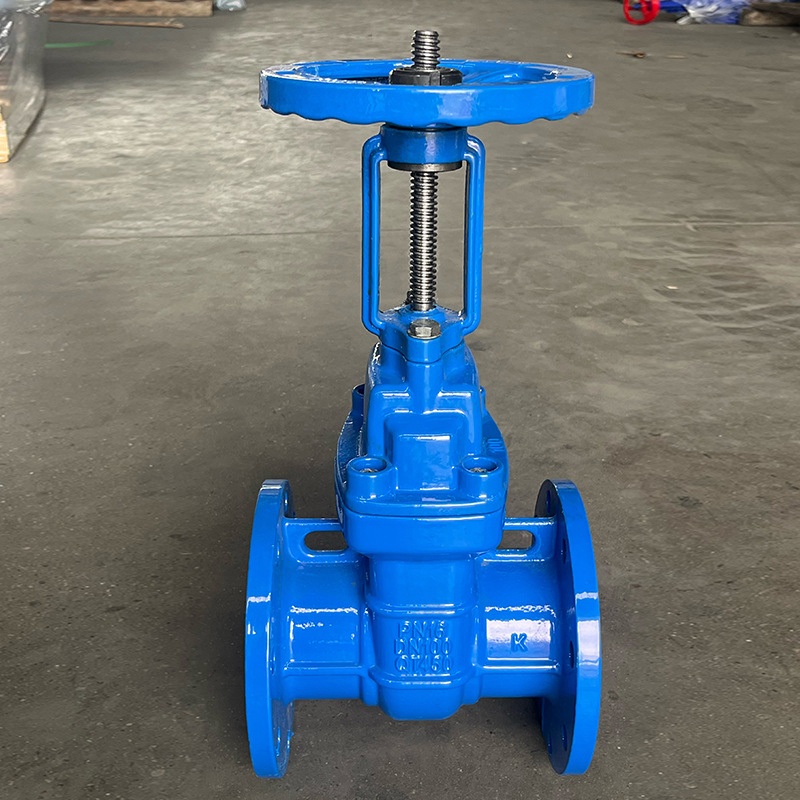 Z41T-16Q法兰明杆防护闸阀硬密封铜芯消防管铜杆铜芯球墨铸铁闸阀：开启阀门世界的宝藏钥匙！-闸阀-淘宝百科网