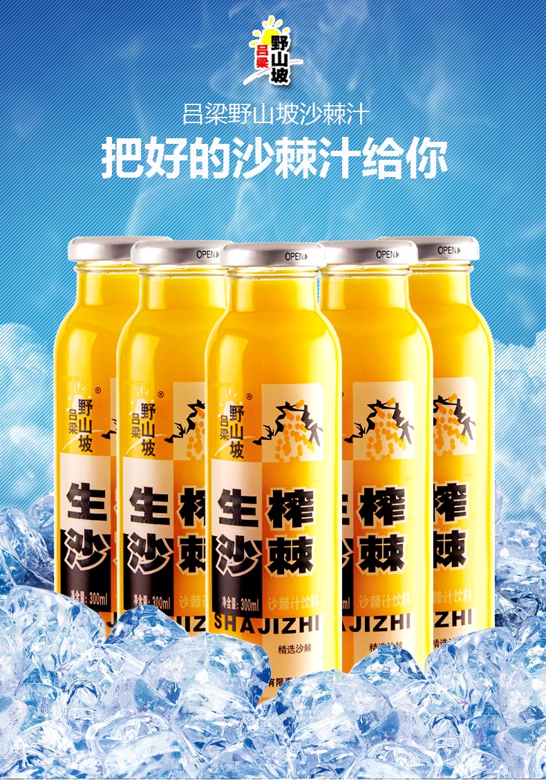 吕梁 野山坡 沙棘汁生榨果汁饮料饮品 整箱送礼盒装300ml*12瓶-生态农业网