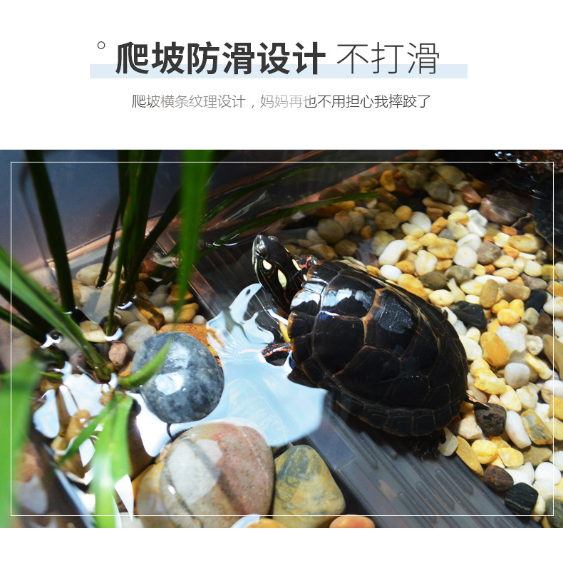 Cool climbing turtle tank ecological turtle house small amphibious tank ...