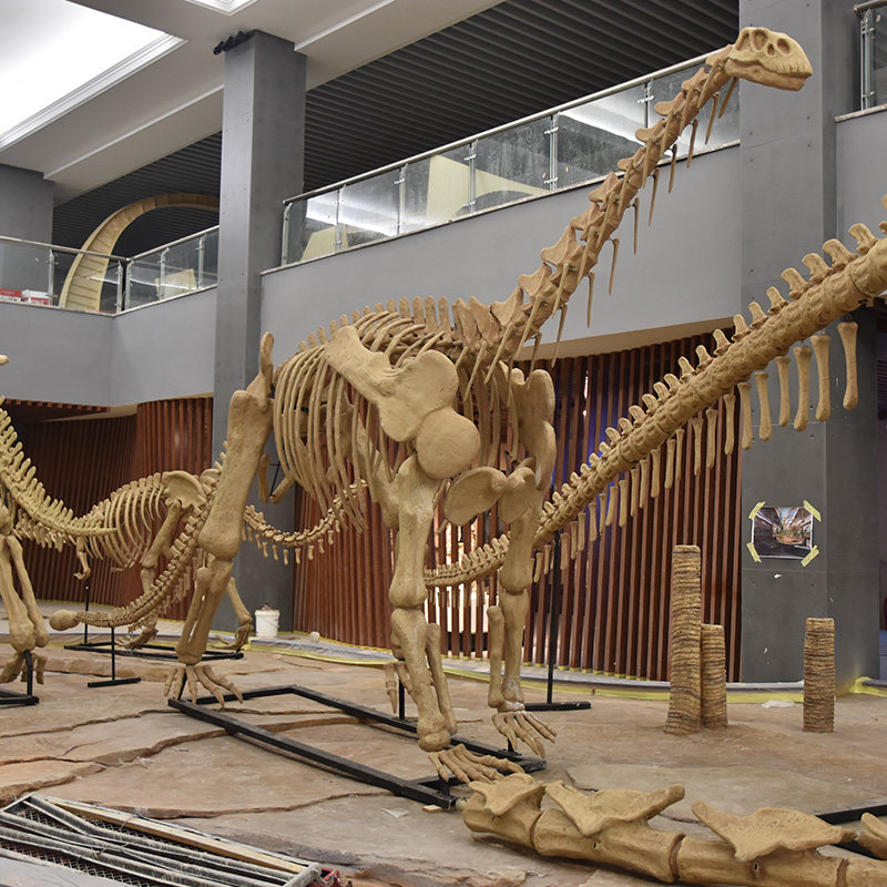 🦖 Amazing! personalized dinosaur fossil model takes you back to the ...