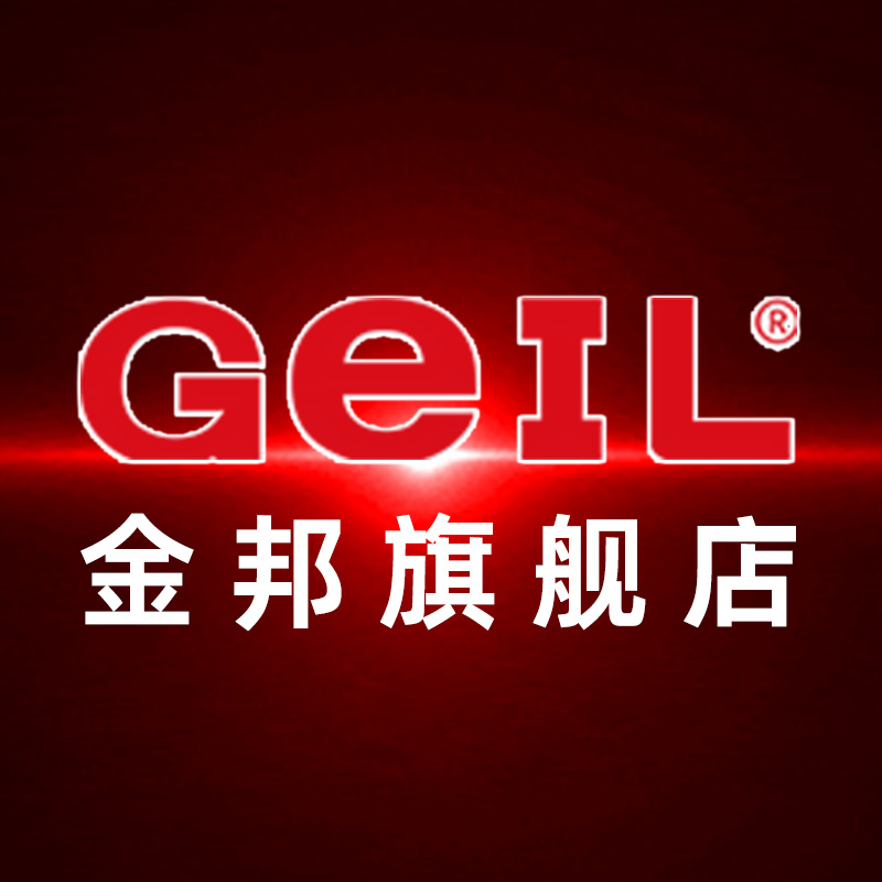 GeIL金邦P3L NVME M.2固态硬碟 512GB 1TB 2TB笔电台式机SSD