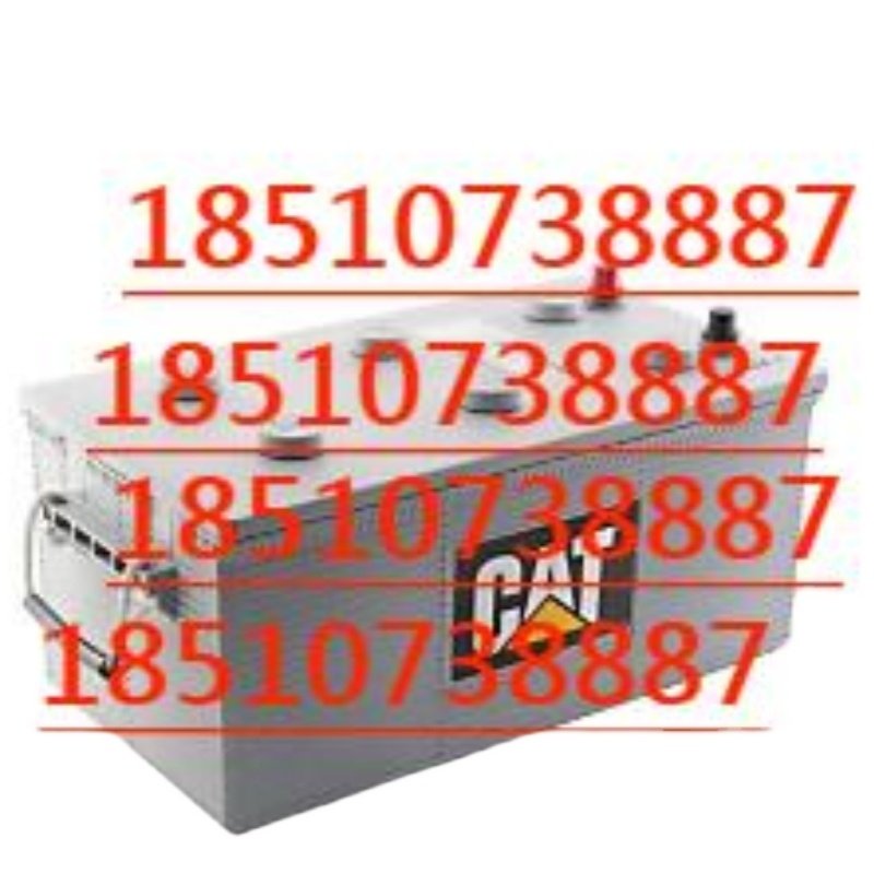 美國卡特CAT蓄電池9X3404 12V165AH/35AH/90AH/52AH深循環電瓶現