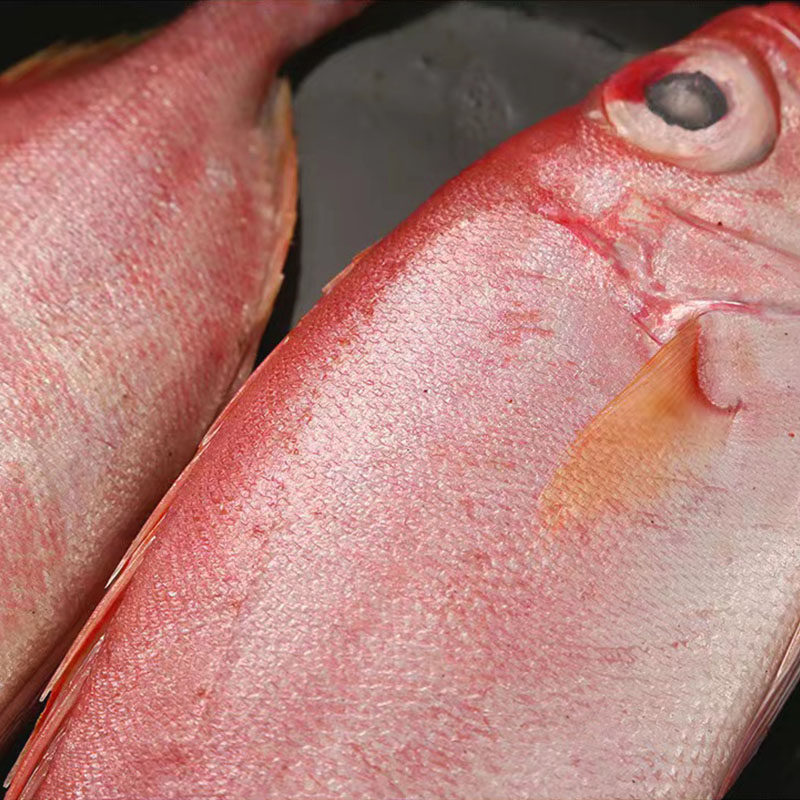 3斤大眼鸡红目鲢，海鲜控的福音！🐟深度测评与选购指南-秋刀鱼-淘宝好物网