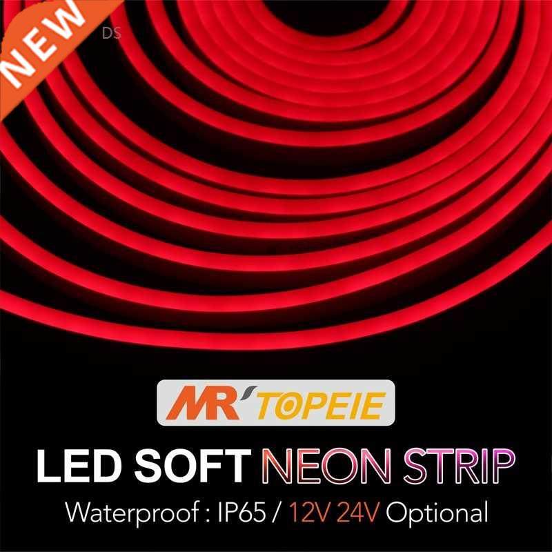 DC12V/24V LED Strip Flexible Neon Light Waterproof IP65 Luc