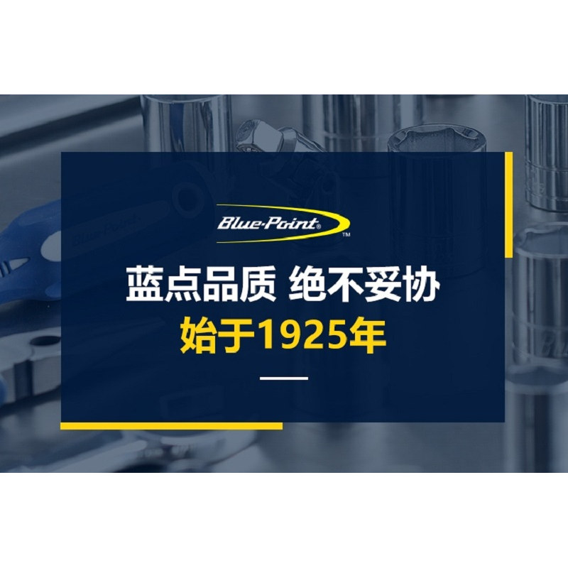 蓝色小点进口工具汽修设备企业店