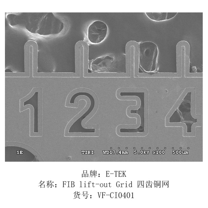 E-TEK FIB四齿铜网 钼网 Lift-Out Grid 替代Omniprobe、tedpella