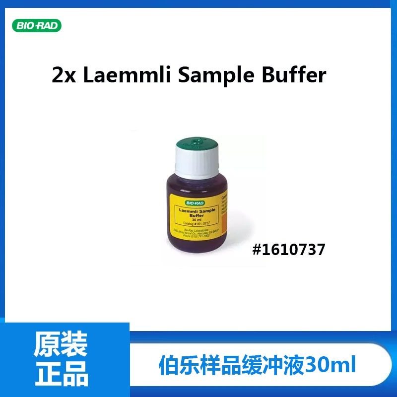 伯樂Bio-Rad 2x Laemmli Sample Buffer樣品緩衝液製備1610737-Taobao