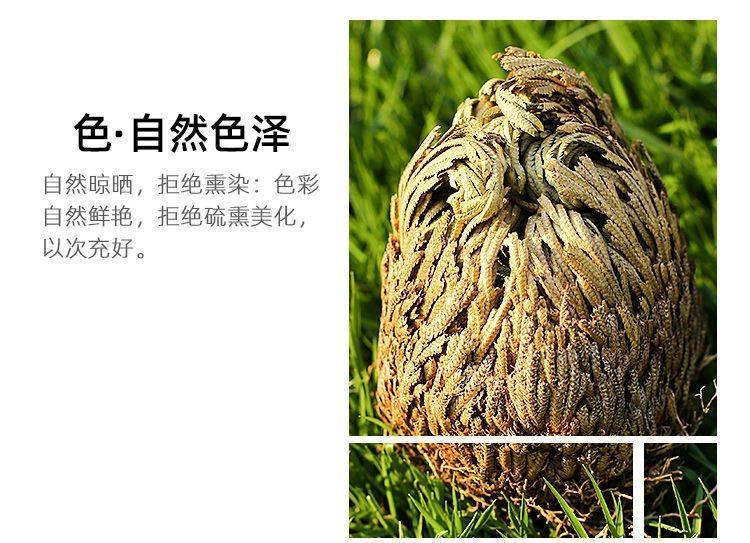 卷柏中九死还魂草干 耶利哥玫瑰 复活草不死草还阳草长生草中草药-阿里巴巴