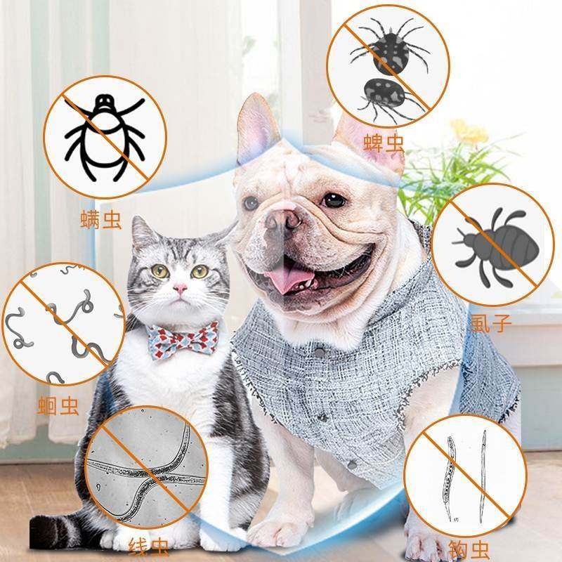 Love Walker adult cat and kitten deworming medicine inside and outside one in vitro puppies with ...