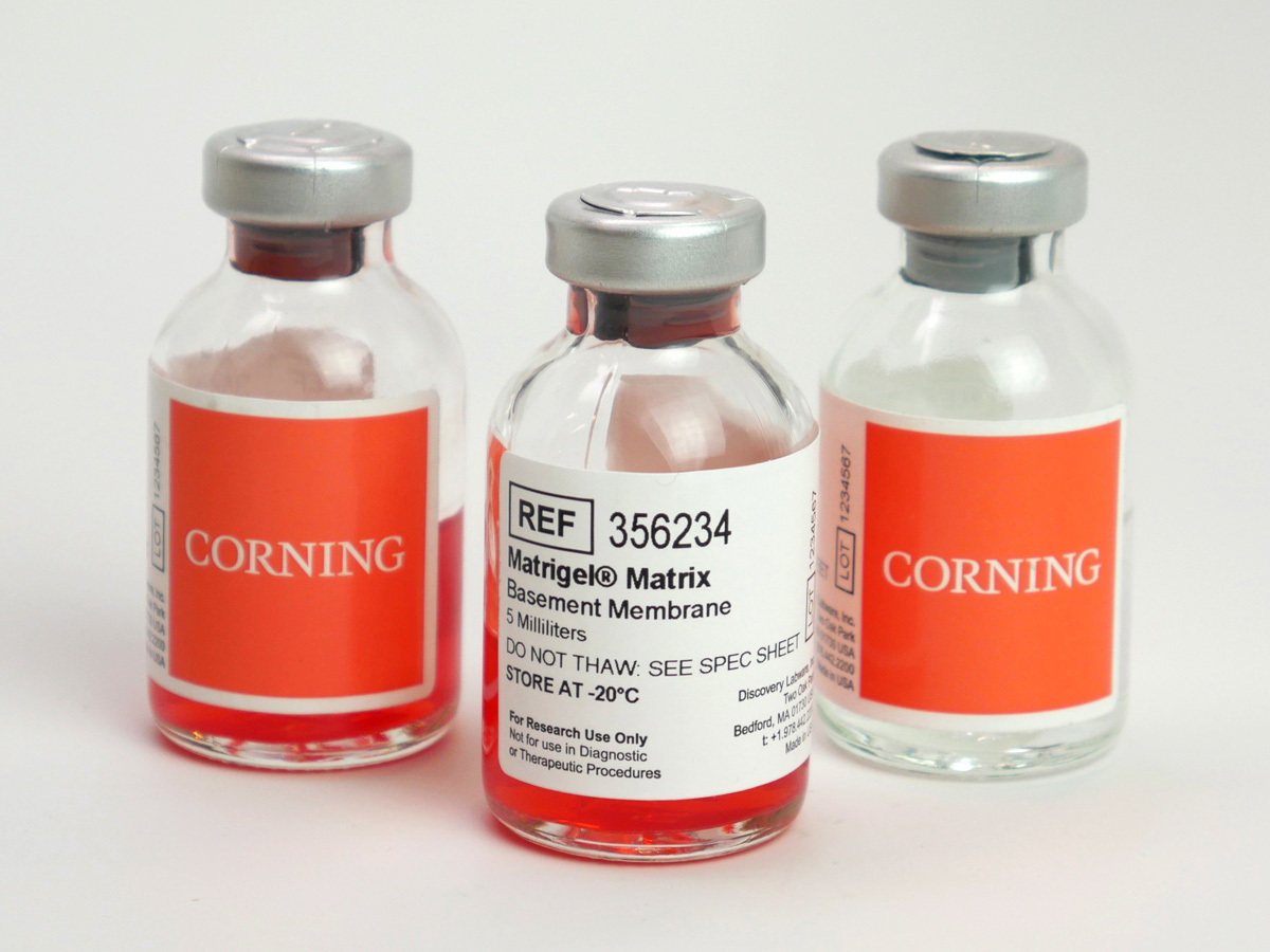 康宁corning BD Biocoat 356234基质胶Matrigel 5ml-淘宝Taobao | 天猫Tmall