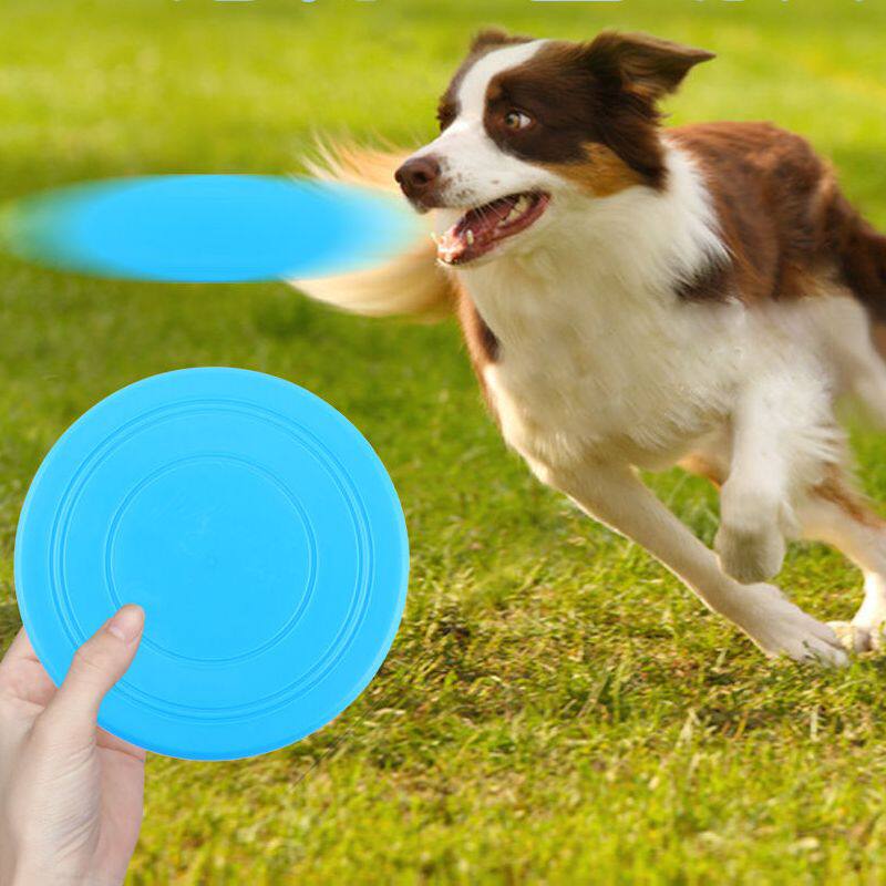 2025 dog disc buying guide | top picks for silicone, durable training ...