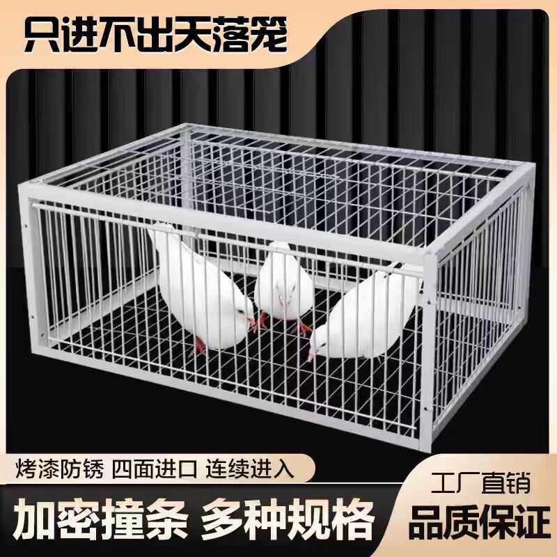 Outdoor pigeon catching artifact, fully automatic collection cage 🎉 ...