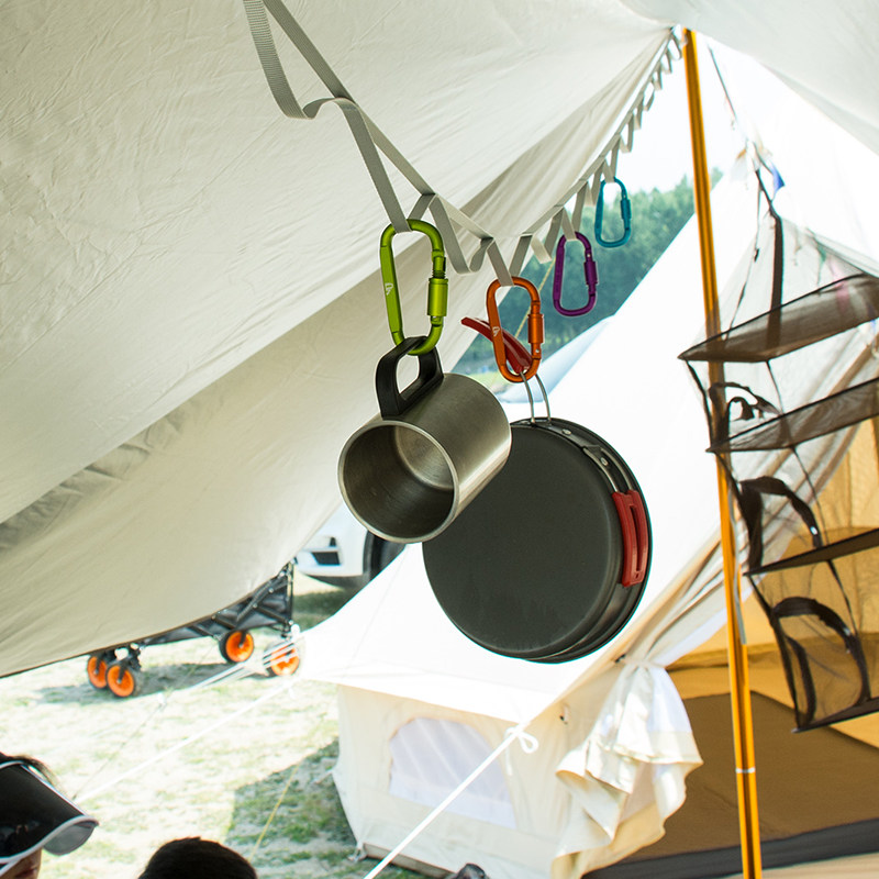 9.9元淘到宝藏好物！iClimb登山扣D形户外挂钩测评，真的值回票价！👍-其他-淘宝好物网