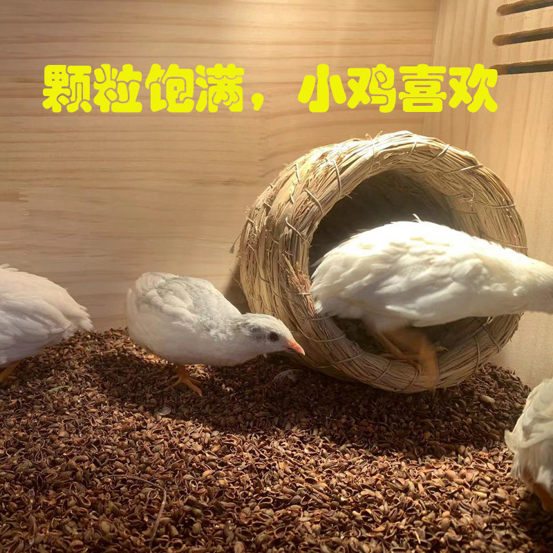芦丁鸡垫料柏子壳除臭发酵床，冬季宠物用品新宠，仓鼠柏籽壳大揭秘！-鸟禽垫料-淘宝好物网