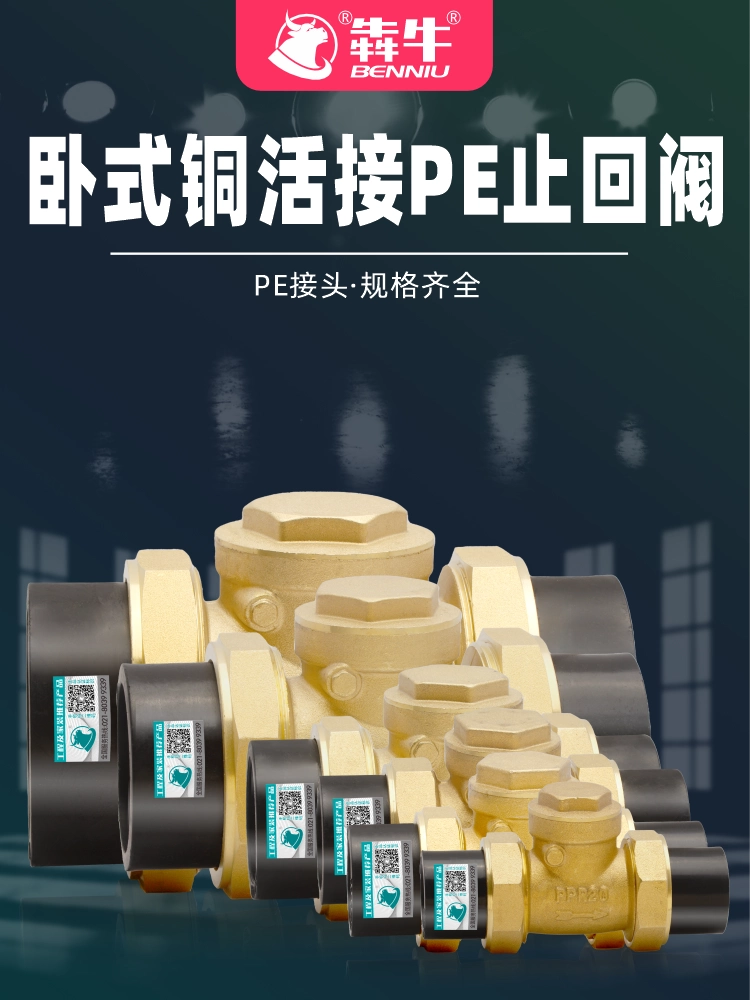 Pe backwater check valve one-way valve check valve 32 water pump ...