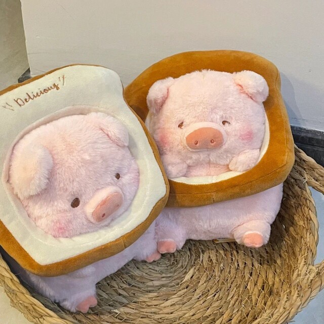 一只小宝
