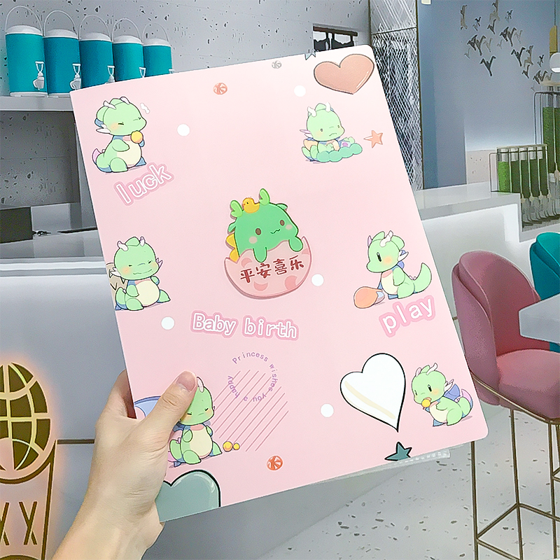 可爱龙宝宝孕检报告单收纳册孕期产检资料册a4a5活页孕妇档案袋-Taobao