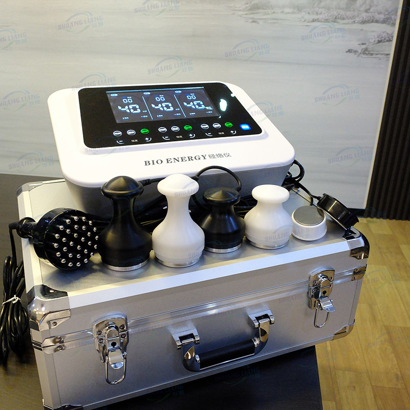 Evergreen vitality meridian massager: unblock your meridians and enjoy ...