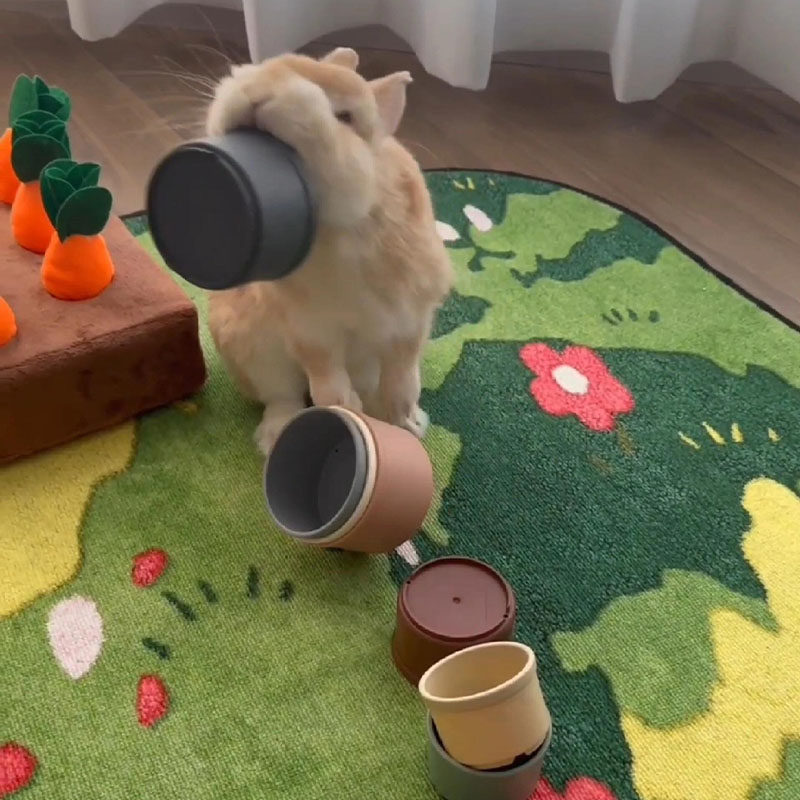 Jenga cup rabbit is a great tool to relieve boredom! pet teething ...