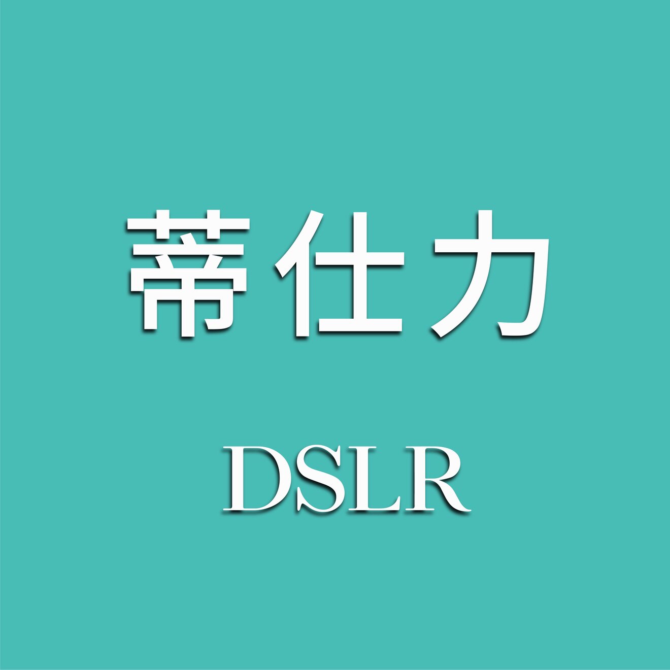 DSLR 女装线上商店