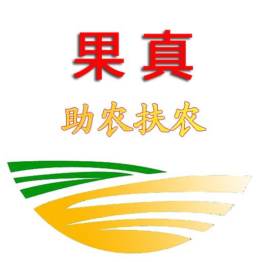 四川特产果真精选