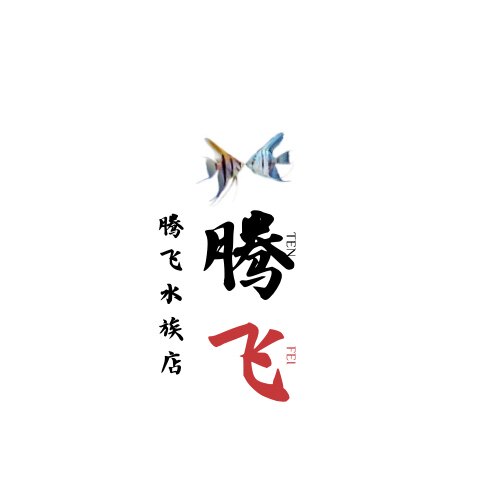 广州腾飞水族