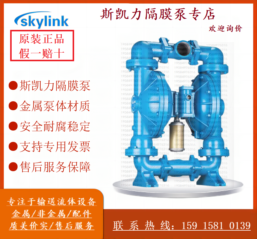 原装正品SKYLINK斯凯力气动隔膜泵3寸SK80/3AAA/EEEE/0B0涂料泵