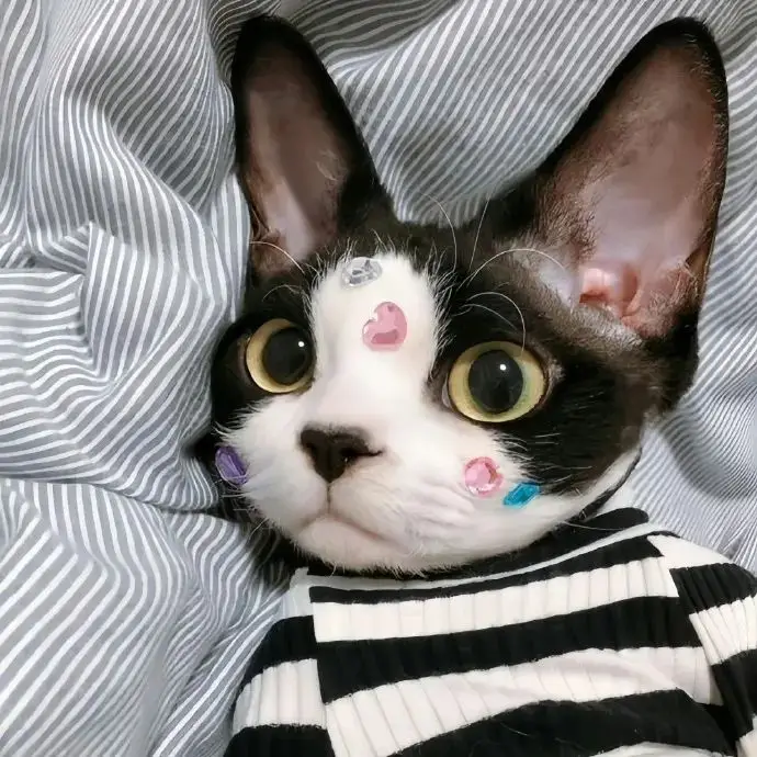 今天你吃了吗
