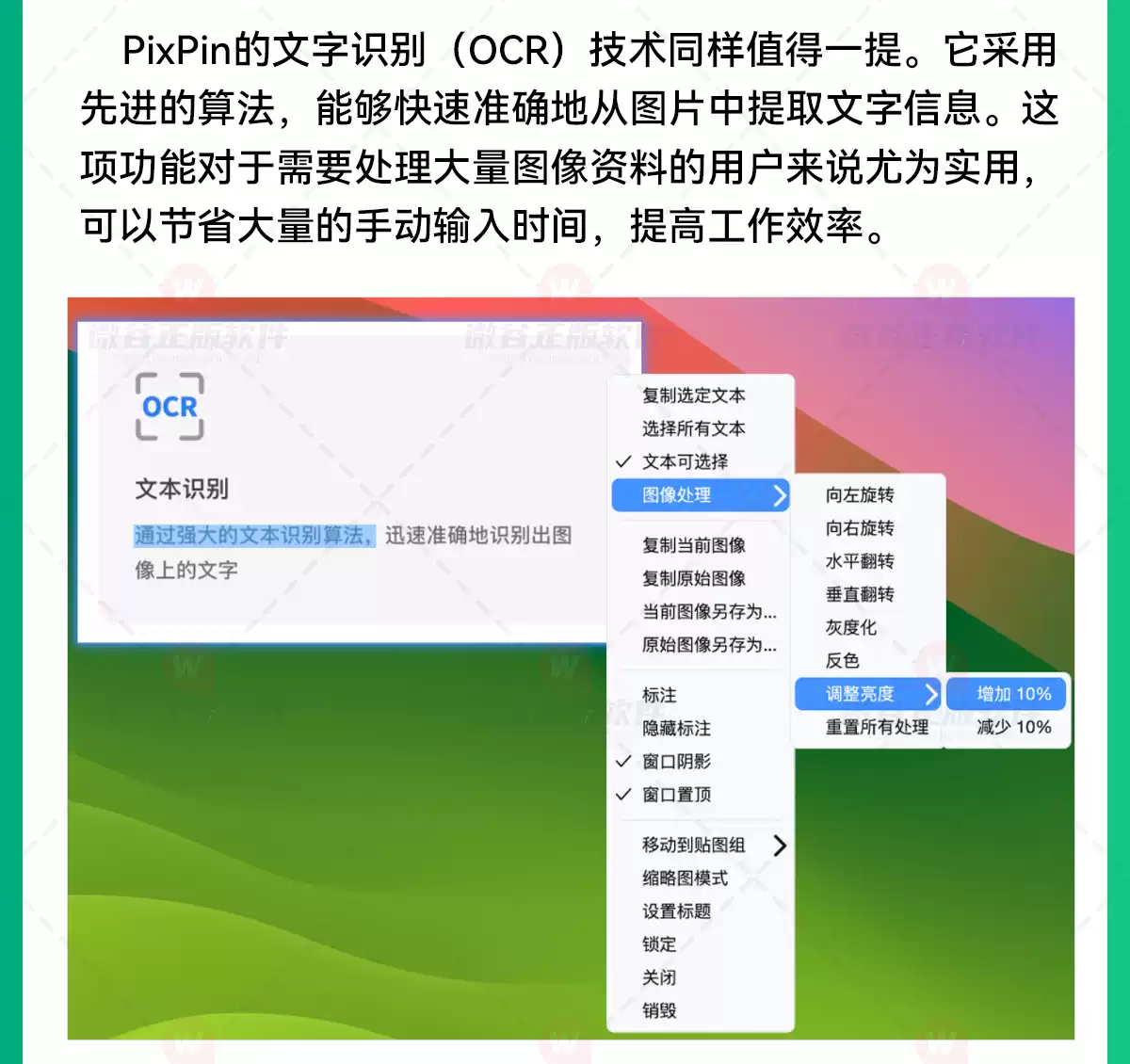 PixPin正版长截图贴图ocr文字表格识别标注翻译录屏gif软件激活码