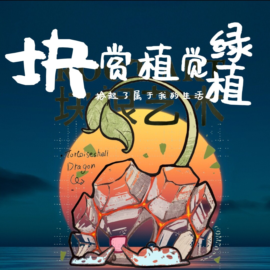 块赏植觉 植物中心