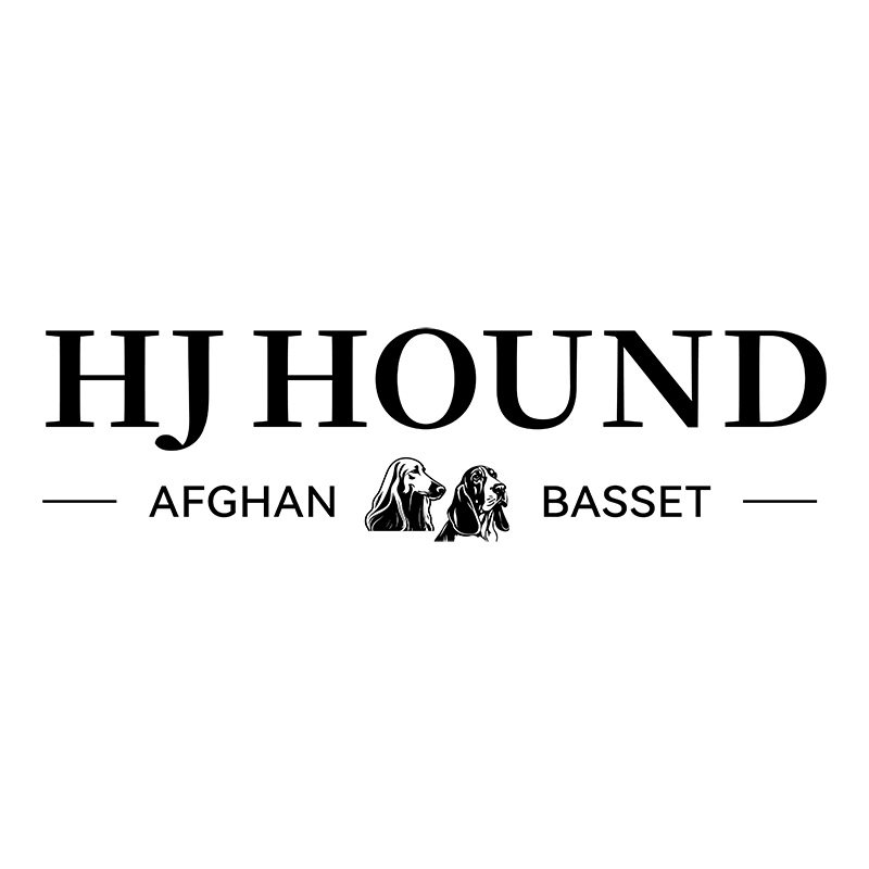 HJ HOUND宠物用品店