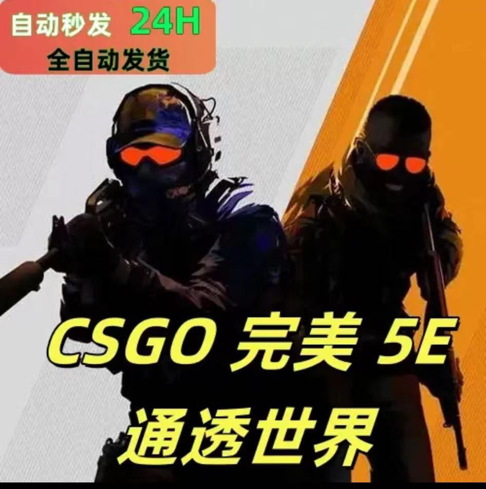 CS2 DMA稳定外挂支援完美平台全平台通用游戏辅助工具