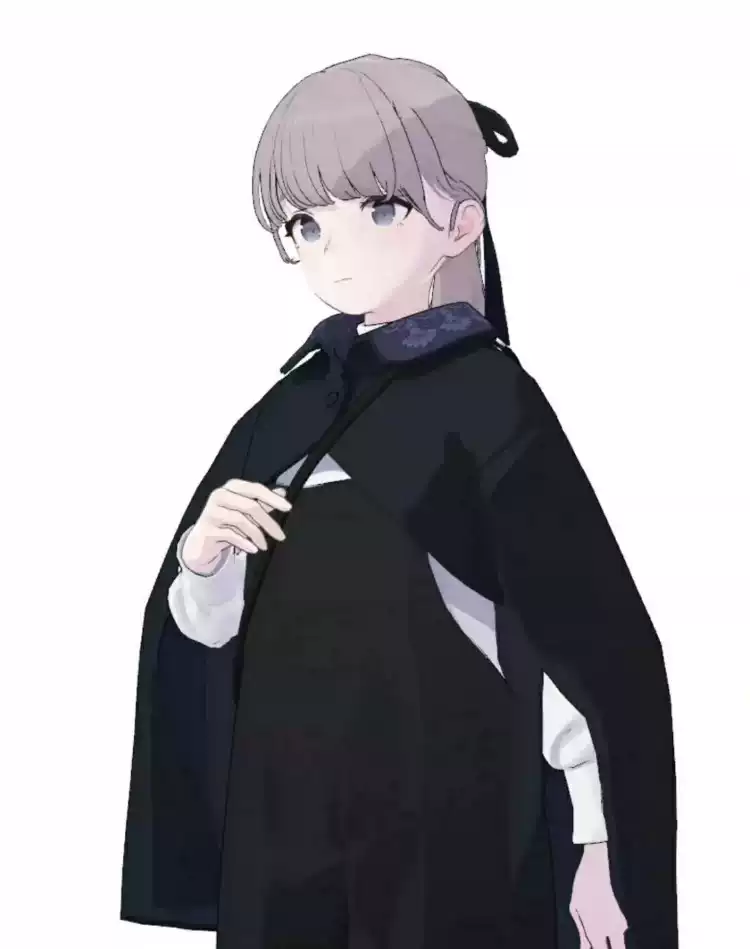 Lapwing VRChat模型 自动发货