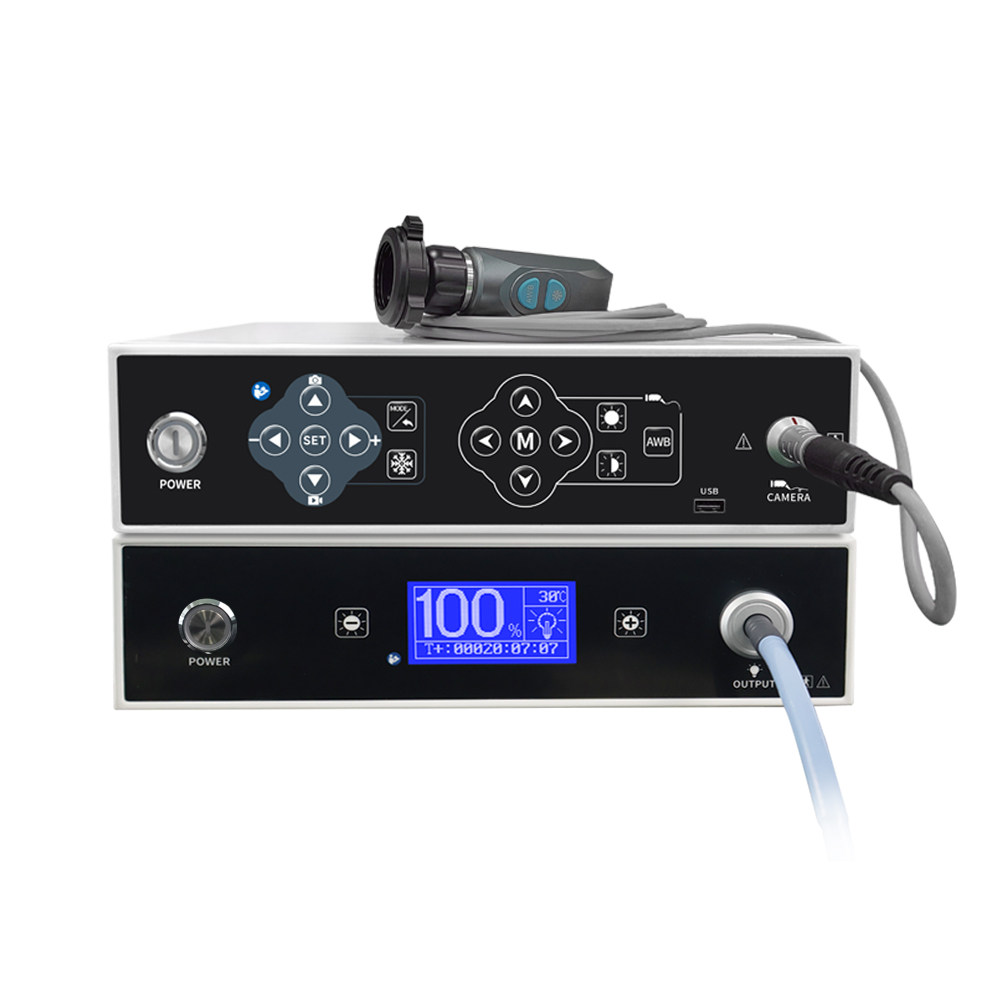 Pet endoscope camera system: a small animal surgical game changer, a ...