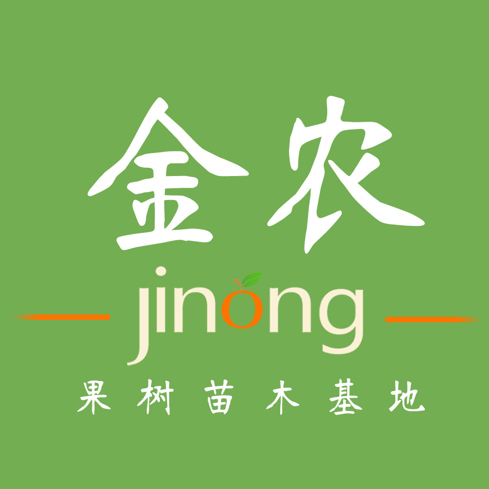金农苗木