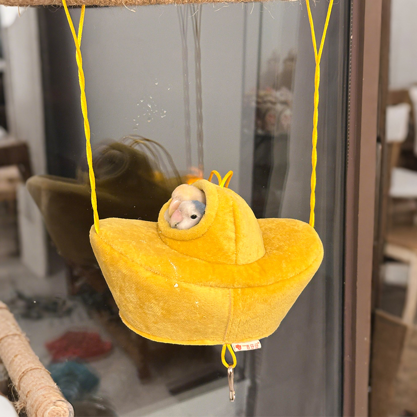 🏡 Winter parrot nesting essentials 🌟 | Golden ingot bird's nest keeps ...